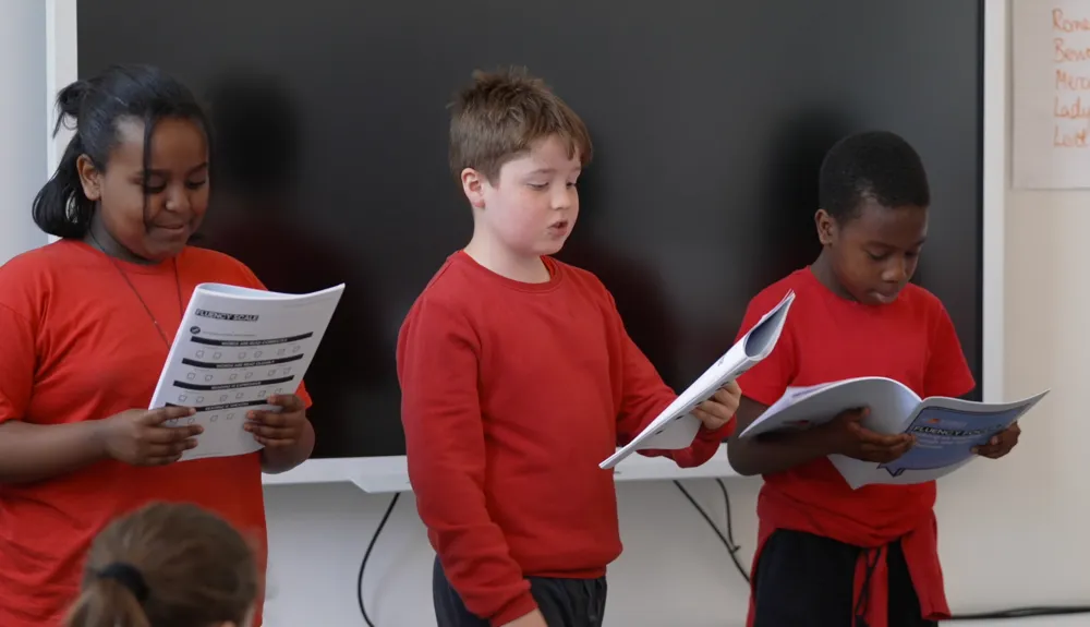 What is Fluency Focus?